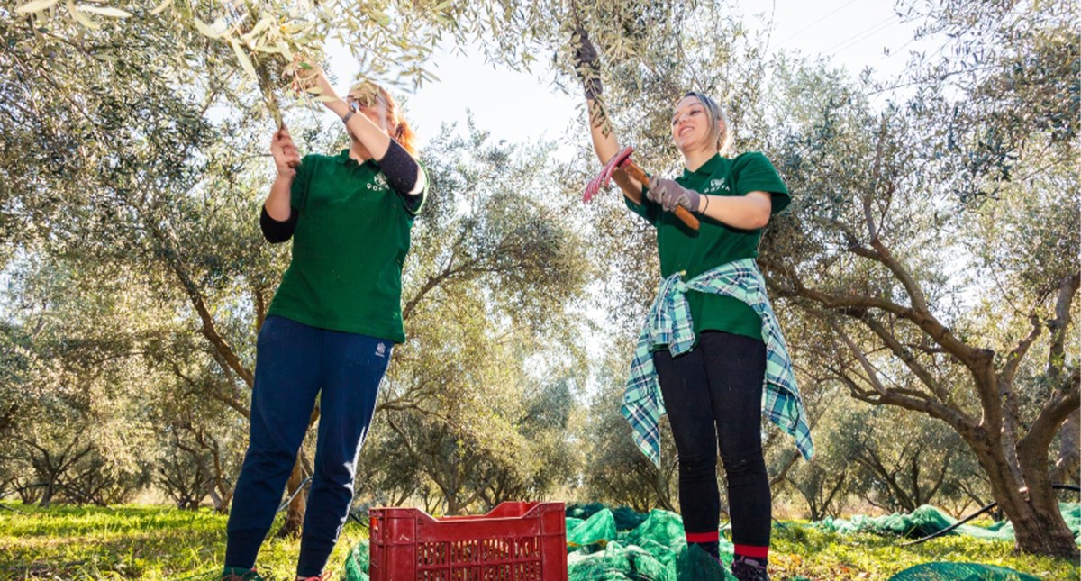 Qoppa ¦ Oι δύο αδελφές από τον Άσσο που φέρνουν επανάσταση στο ...